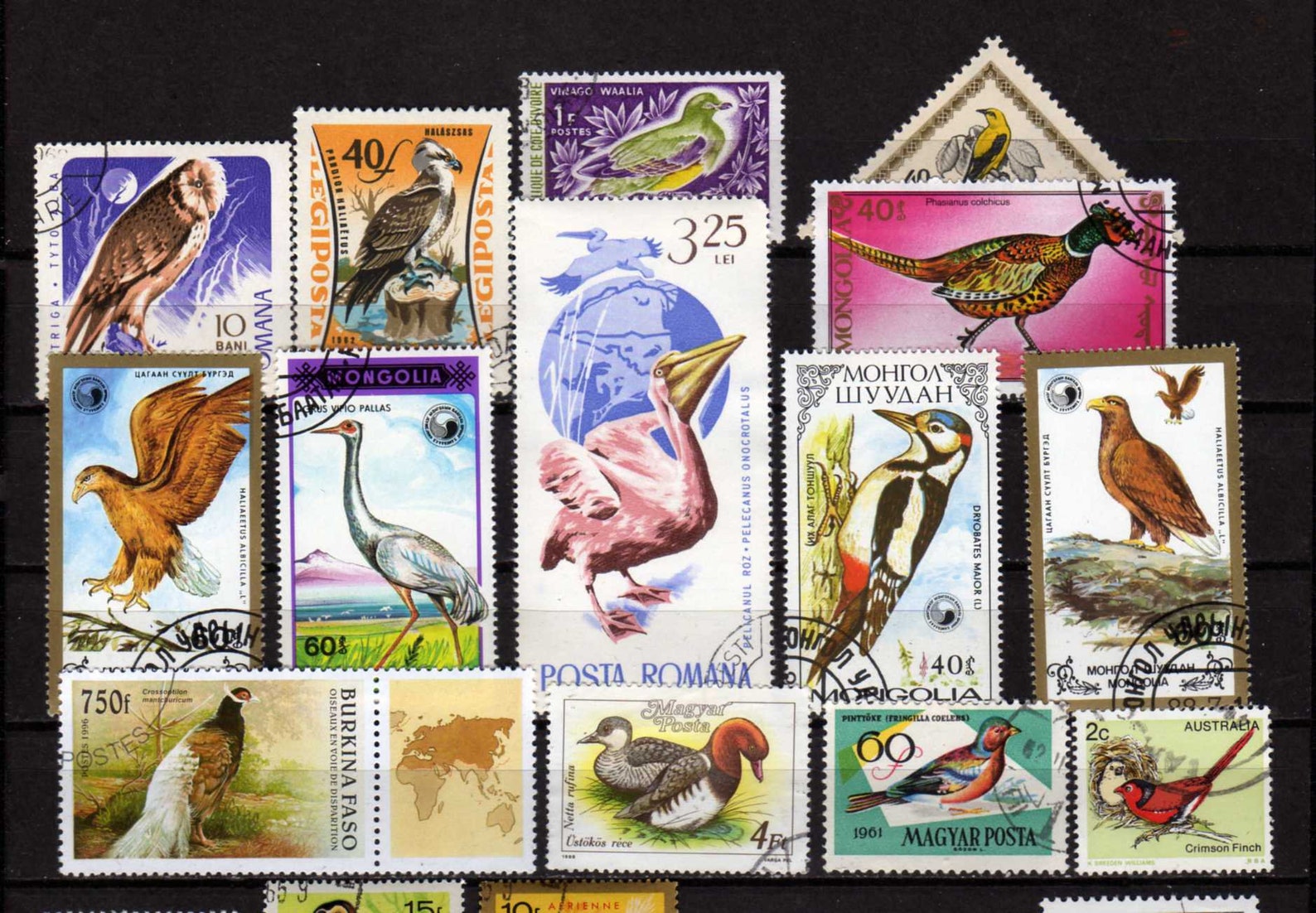 BIRD Stamps 50 Diff Bird Postage Stamps Birds on Stamps - Etsy