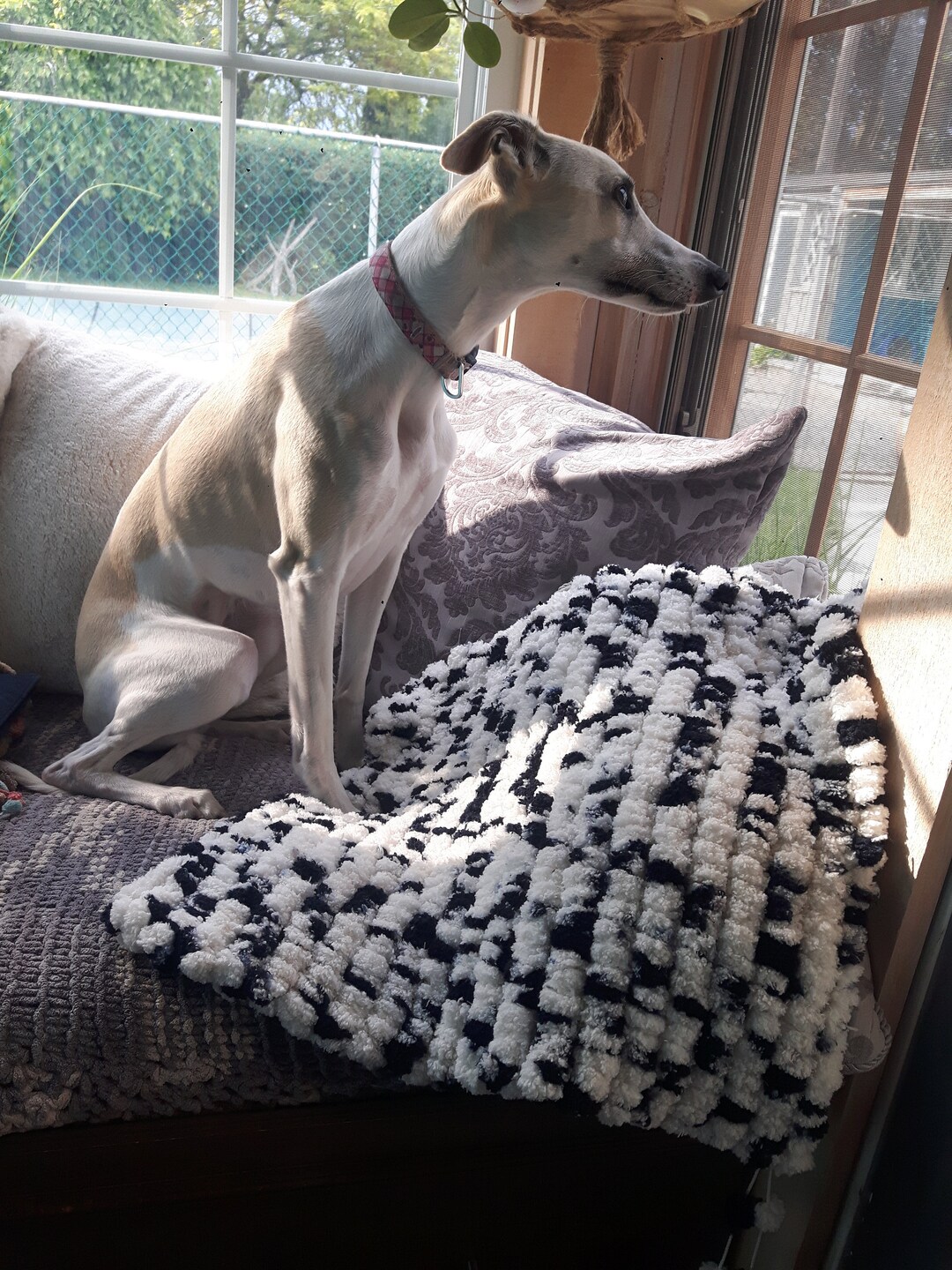 Luxurious Cuddle, KNIT DOG Bed, CAT, Mat, Luxury Pet Rug, Window Mat ...