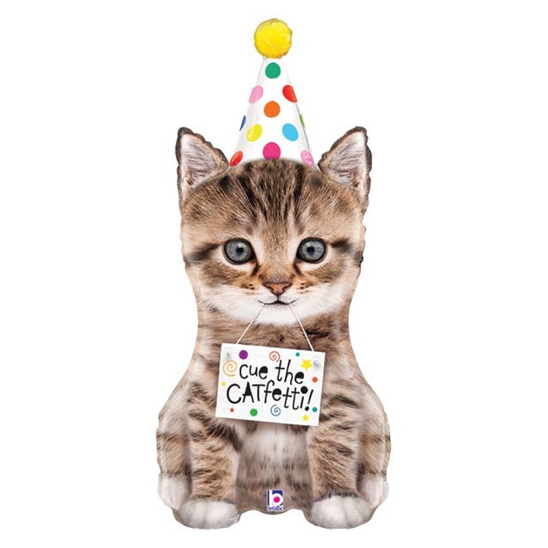 Cat Confetti - Etsy