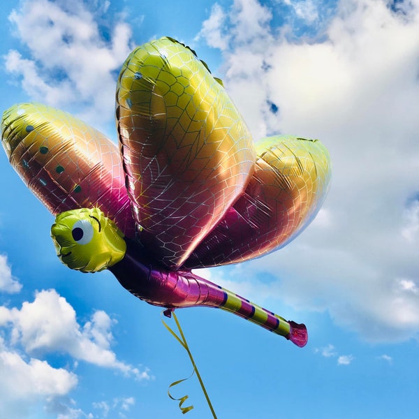 Dragonfly Decoration - Etsy