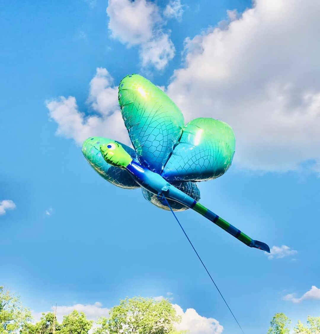 38" Green Blue Dragonfly Foil Balloon, Garden Party Decoration, Wings ...