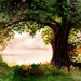 Lovely Backlight Tree Watercolor Painting. 8 X 10 Original Painting Not ...