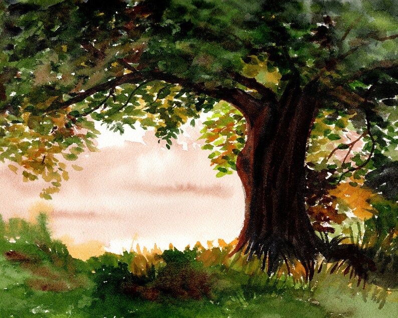 Lovely Backlight Tree Watercolor Painting. 8 X 10 Original Painting Not ...