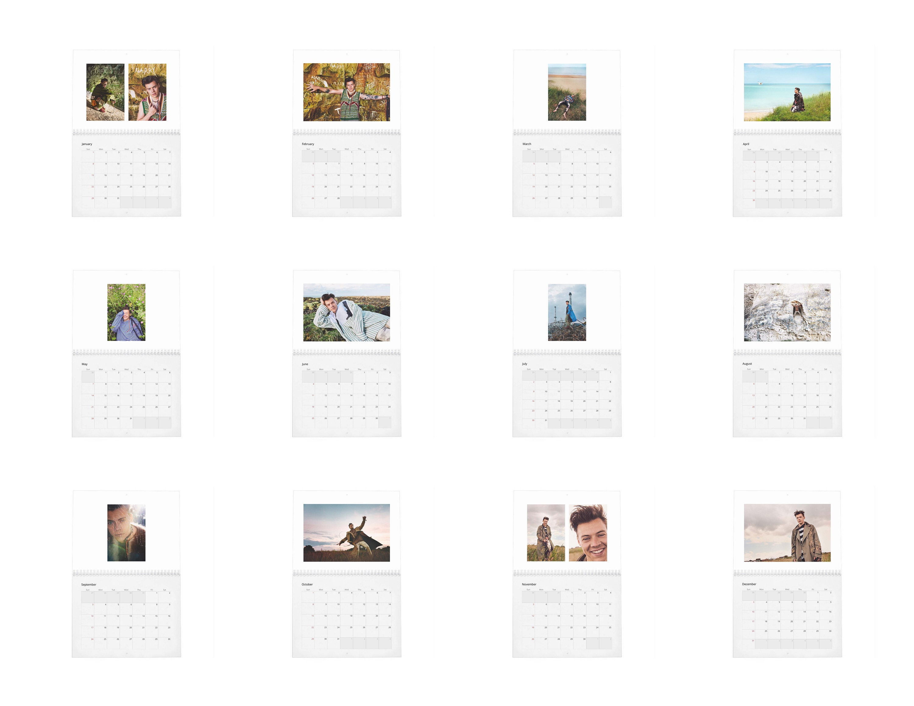 Harry Vol.1 - Calendrier Mural 2024 vendu par Junket Kyle | SKU 4284098 ...