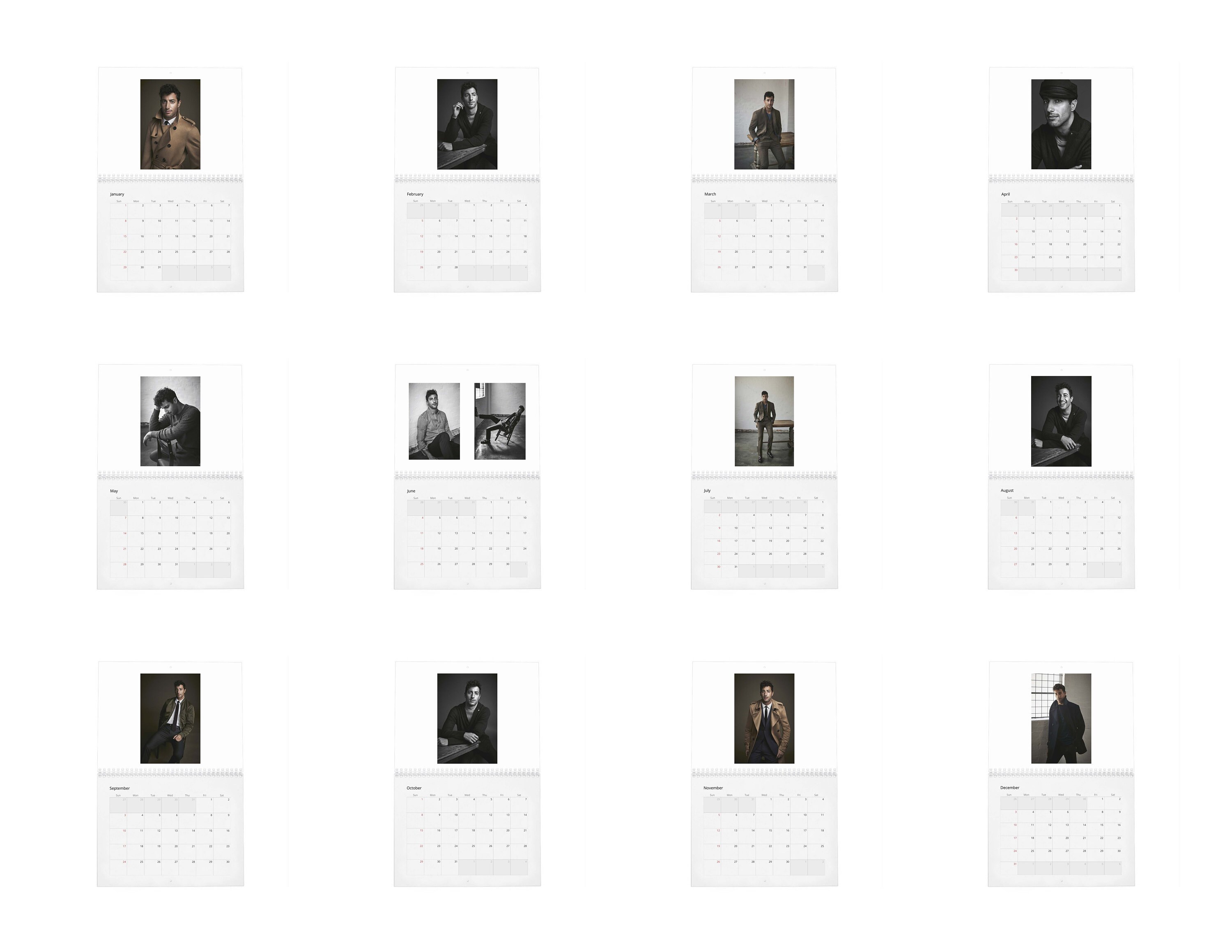 Daniel Ricciardo Vol.1 - 2024 Wall Calendar sold by Fireplace High-Rise ...