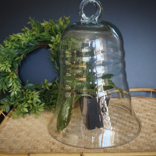 Large Glass Cloche - Etsy