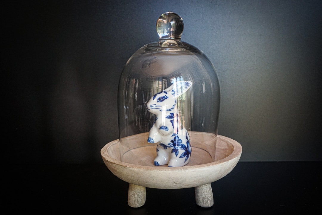 Glass Clouche With Wood Pedestal - Etsy