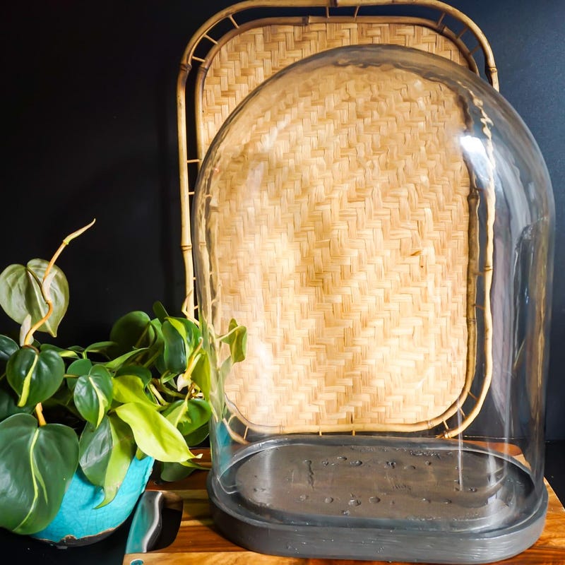 Pottery Cloche - Etsy