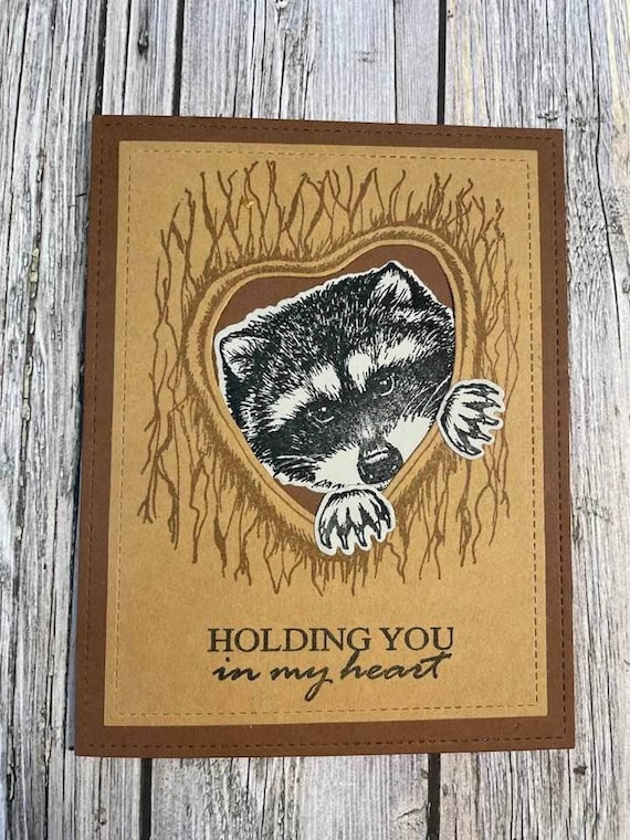 Get Well Soon Raccoon