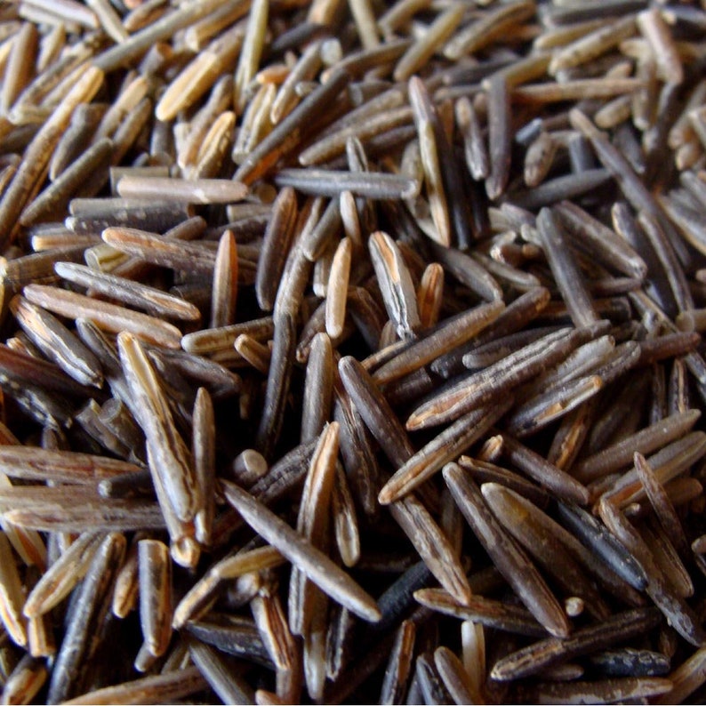 BINESHII Chef's Reserve Wild Rice Now Available Online Hand-harvested ...