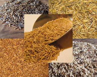 Hand Harvested Wild Rice - Woodfire Parched - Etsy