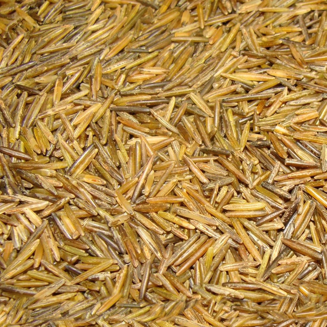10-LBS Wild Rice Gourmet Form Bineshii. Pure Minnesota Lake Wild Rice ...