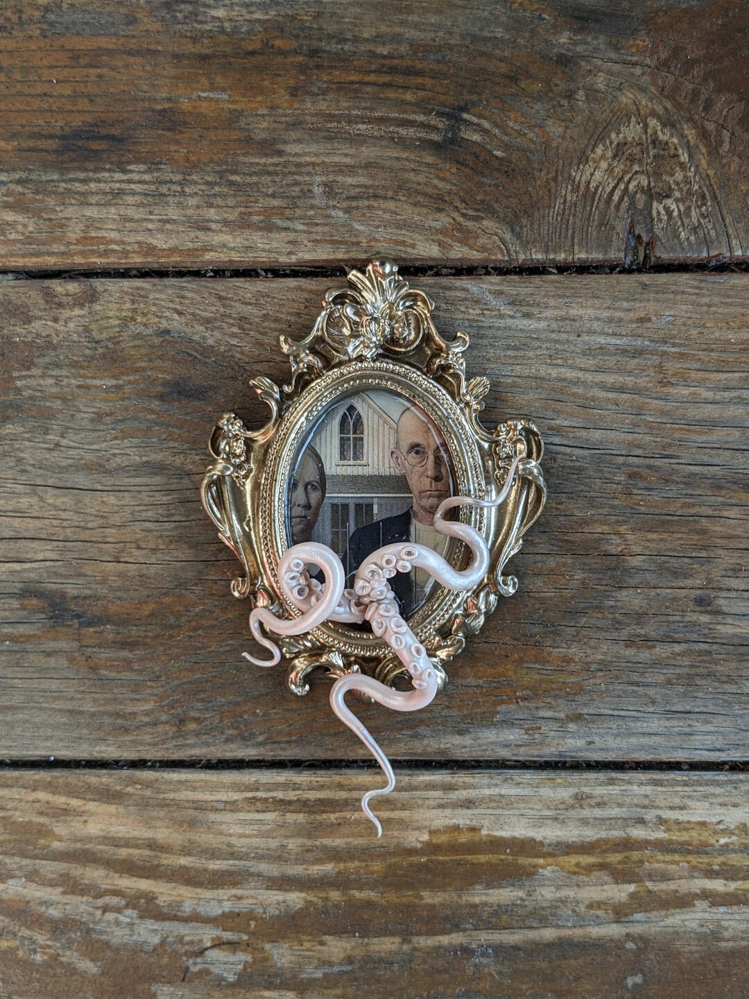 Nightmare Rural. Tentacle Curiosity Frame, Tentacle, Octopus, Octopus, Apothecary, Gifts ...
