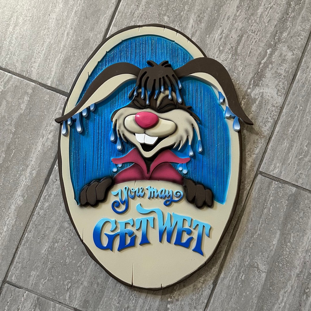 You May Get Wet Custom Splash Mountain Sign~ Made to Order 16”x12” - Etsy