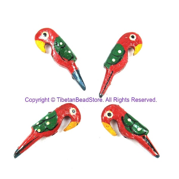 Hand Painted Parrot - Etsy