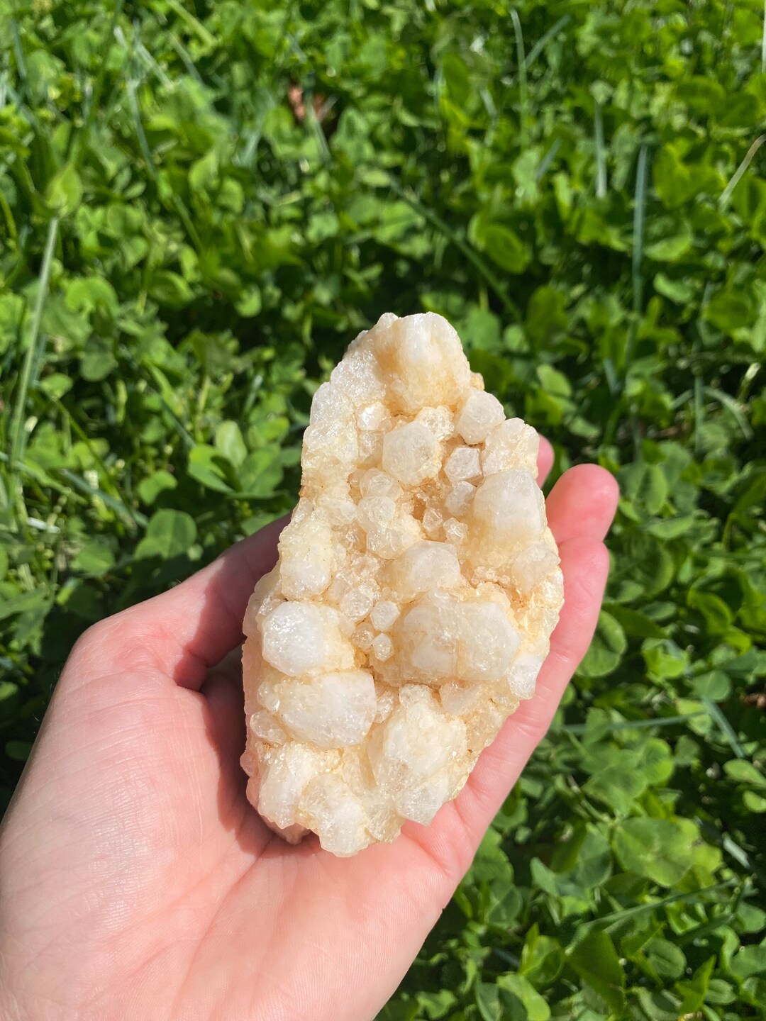 Quartz Crystal Geode Piece From Northeast Georgia Mountains - Etsy