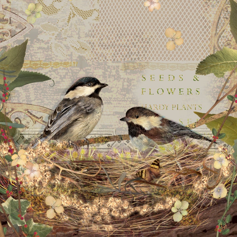 Chickadee Birds Lace_collage-art Pillow and Insert, 16x16, Stephie ...