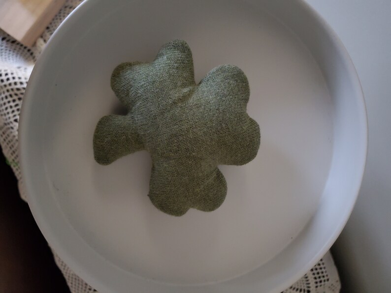 Sage Green Shamrockstuffed Good Luck St. Patrick Day | Etsy