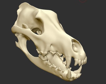 Wolf skull mask | Etsy