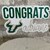 University of South Florida Centerpiece Sticks, Bulls, Usf Grad Party ...