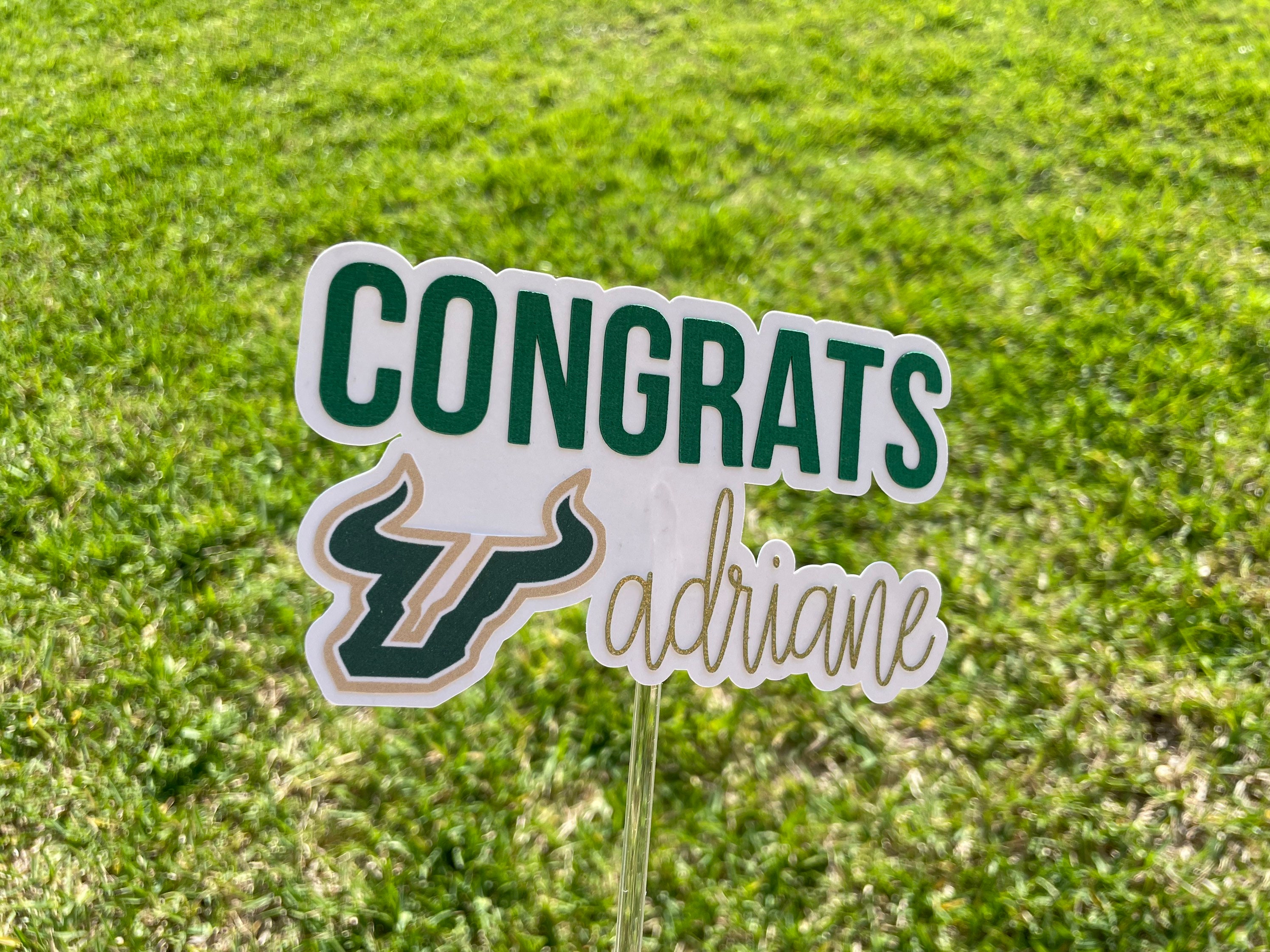University of South Florida Cake Topper , Bulls, Usf Grad Party, Go ...