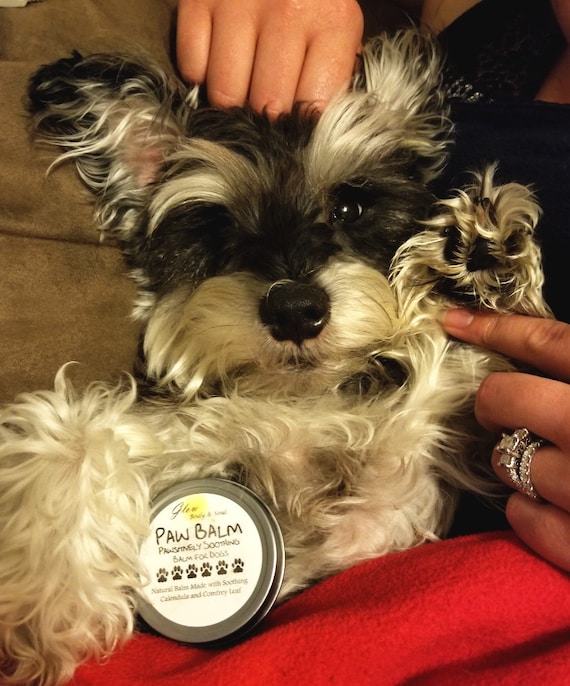 Paw Balm All Natural Palm Balm for Dogs | Etsy
