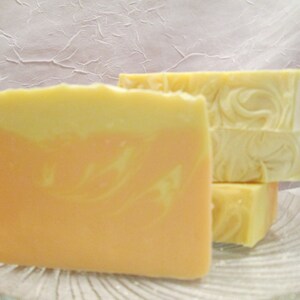 Mango Tangerine Soap Handmade Cold Process Vegan Soap - Etsy