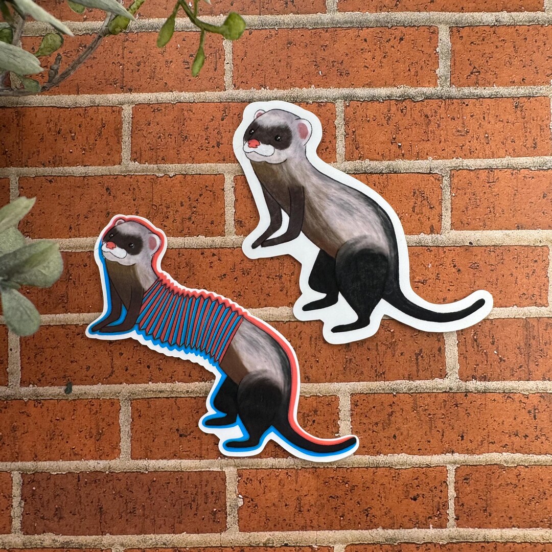 Ferret Sticker or Magnet | Laptop Sticker | Waterbottle Sticker ...