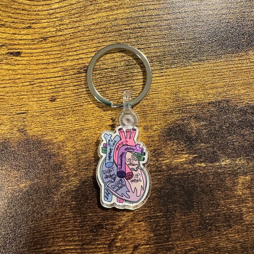 Anatomical Heart Acrylic Keychain Gift for Daughter Gift for Friend ...