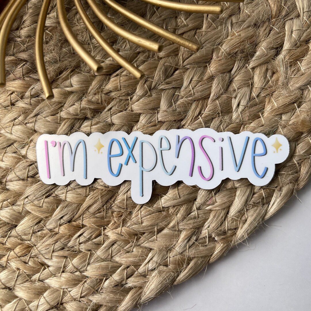 I’m Expensive Sticker or Magnet | Laptop Sticker | Water Bottle Sticker ...