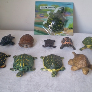 10 TURTLES for Your Projects or Collections Lifelike Turtles for Your ...