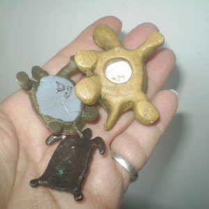 10 TURTLES for Your Projects or Collections Lifelike Turtles for Your ...