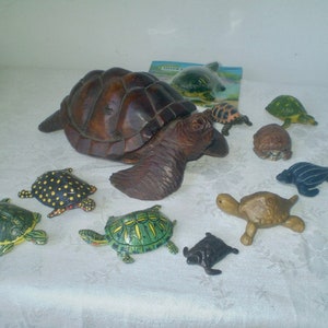 10 TURTLES for Your Projects or Collections Lifelike Turtles for Your ...