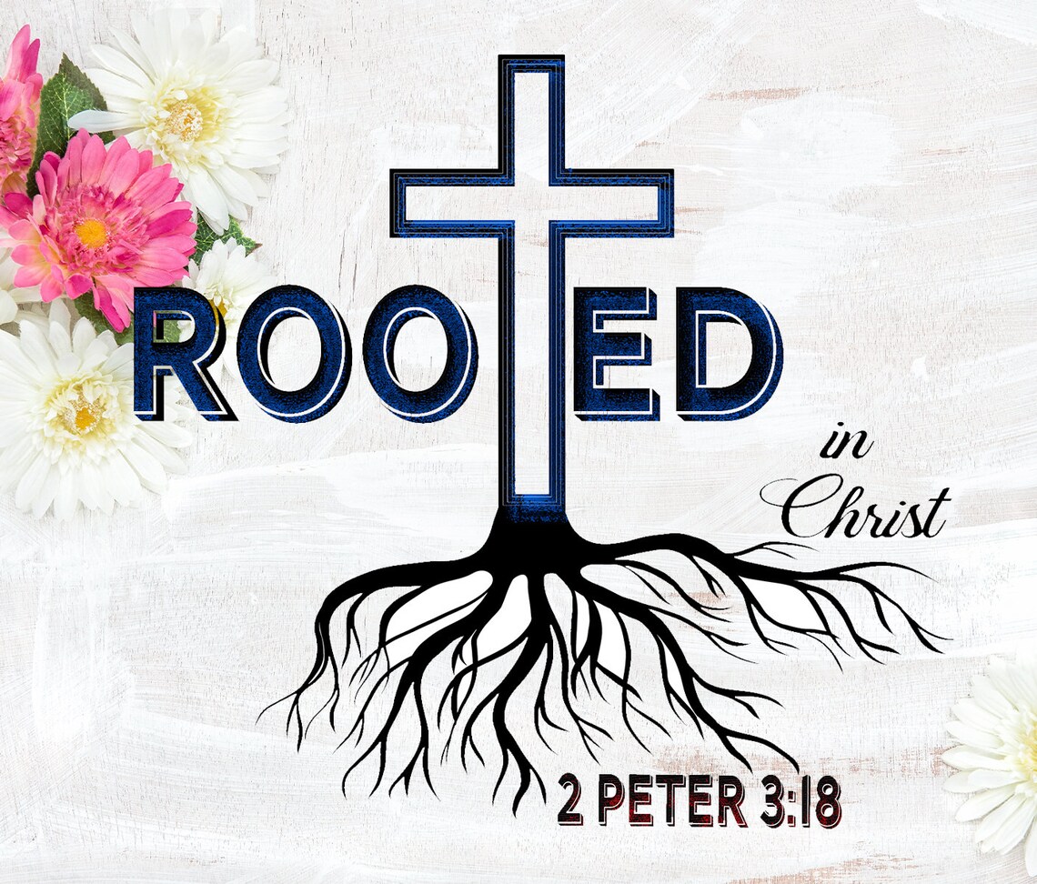 Rooted in Christ Drawn Digital Art PNG JPEG Download File Sublimation ...