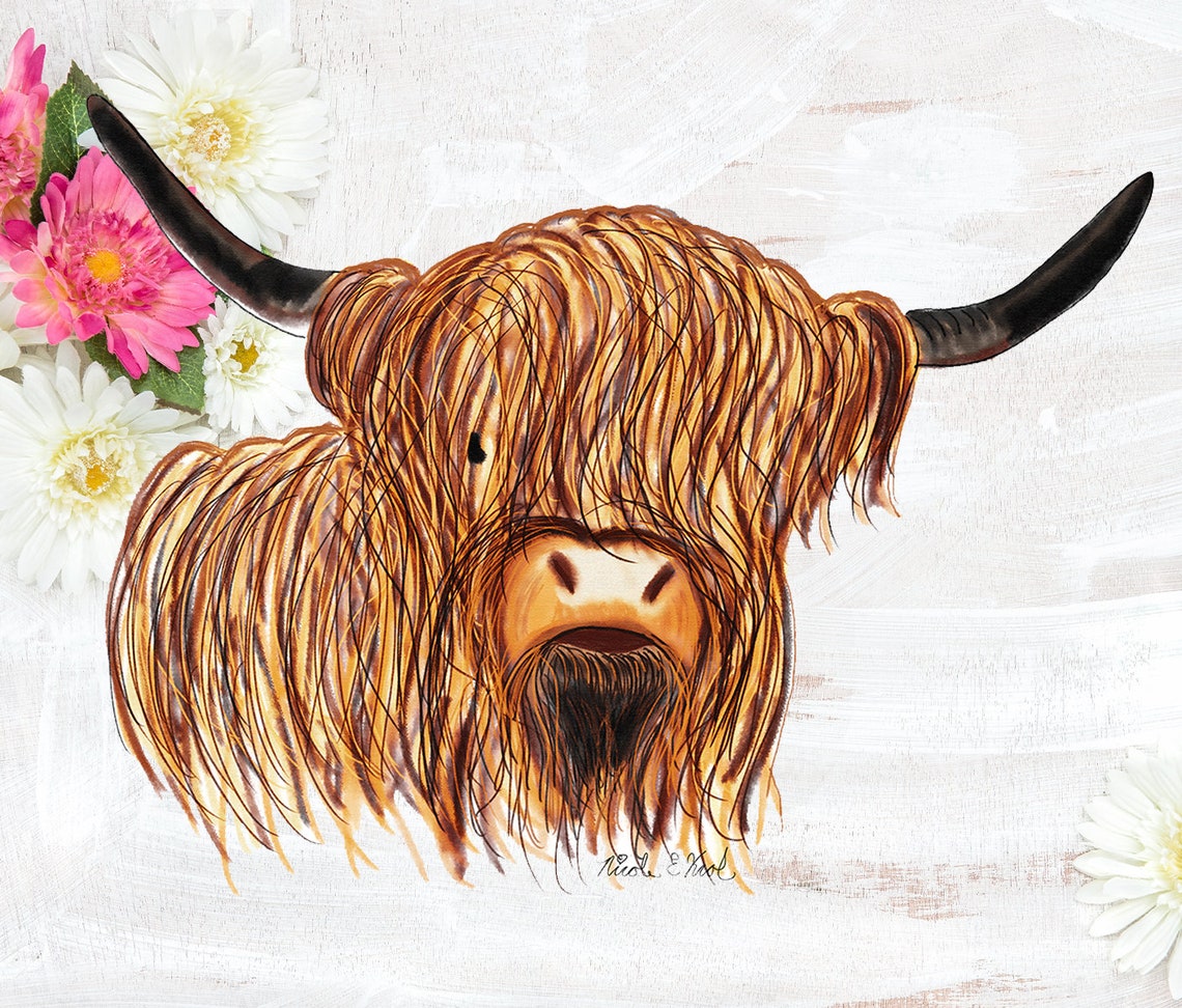 Highland Scottish Cow Digital Art PNG JPEG Download File - Etsy