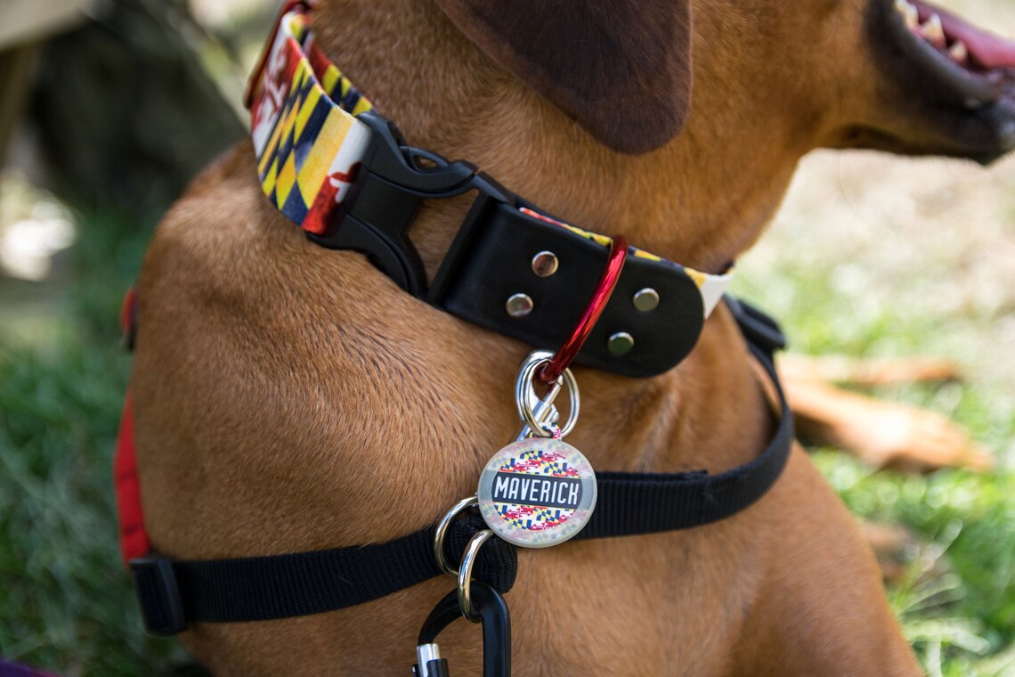 Pet ID Tag maverick Maryland My Maryland Dog - Etsy