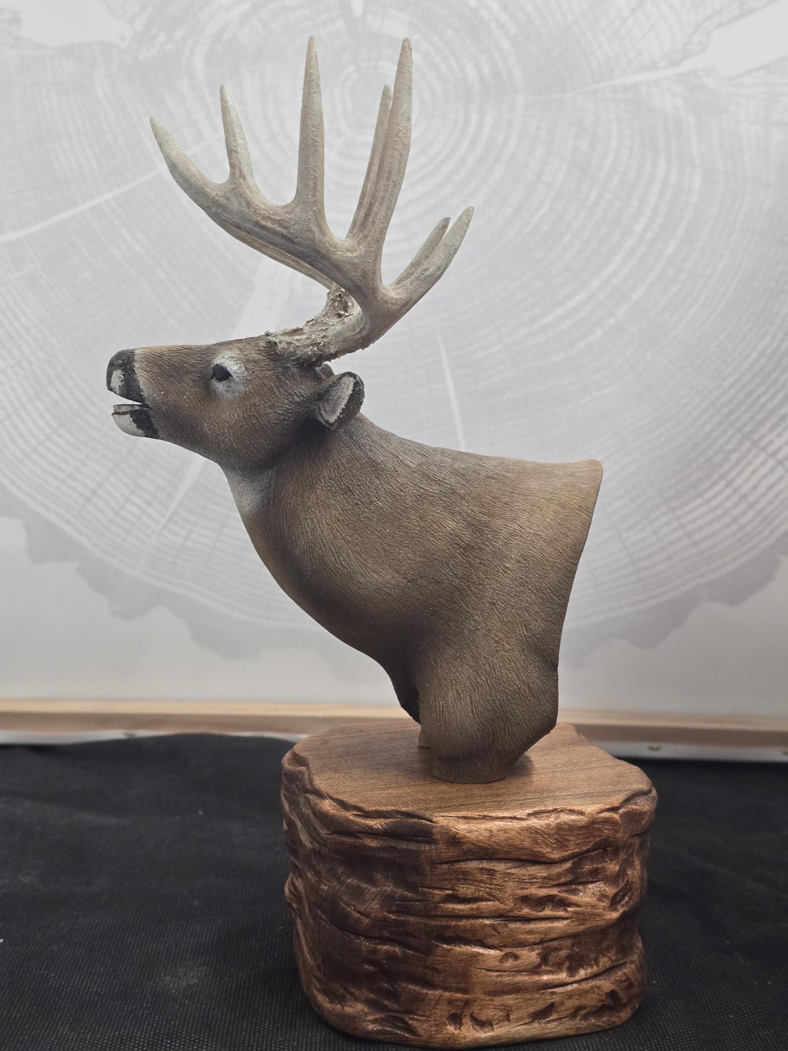 Trophy White Tail - Etsy