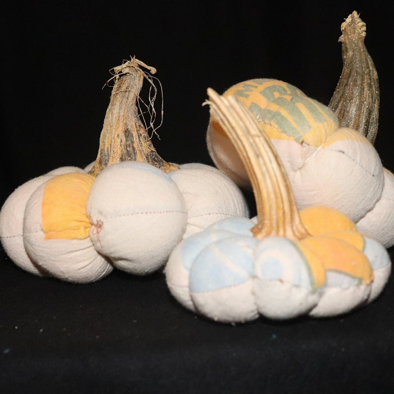 Prim Graphics - Etsy