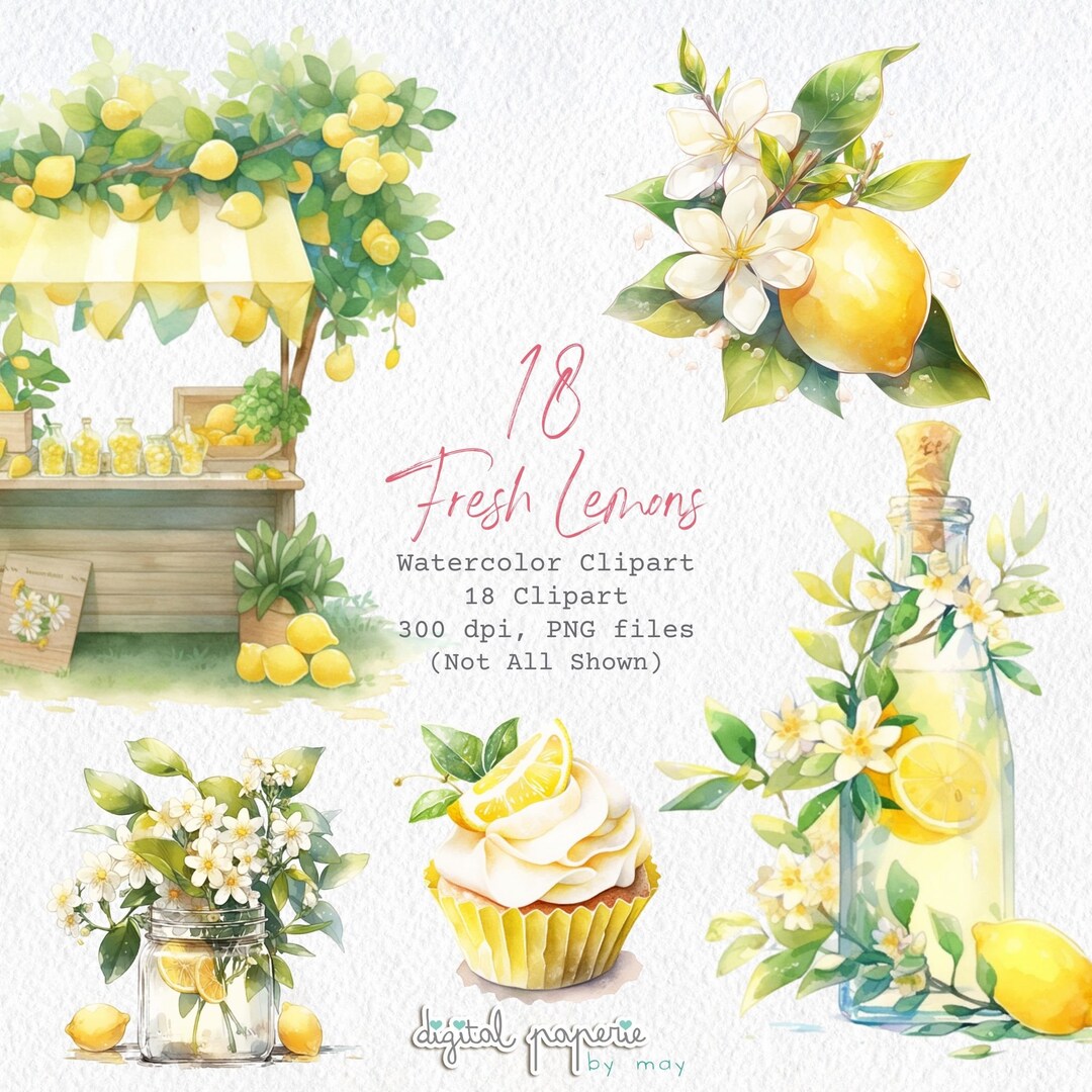 Fresh Lemon Watercolor Clip Art, Transparent PNG, Digital Download ...