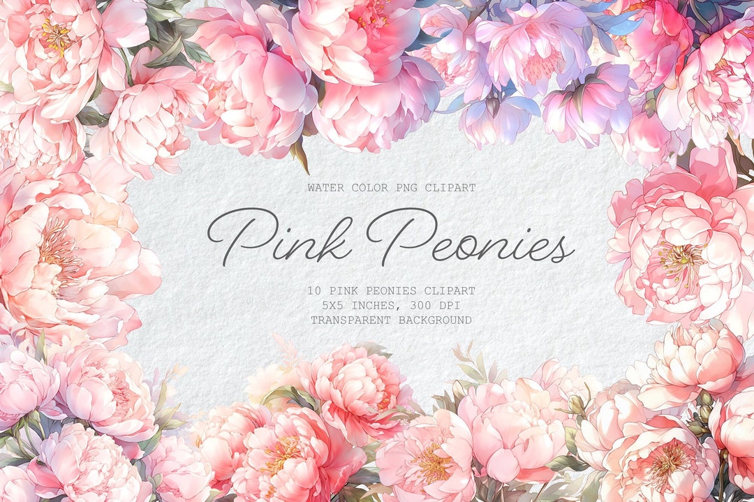 Pink Peonies Watercolor Clip Art - Etsy