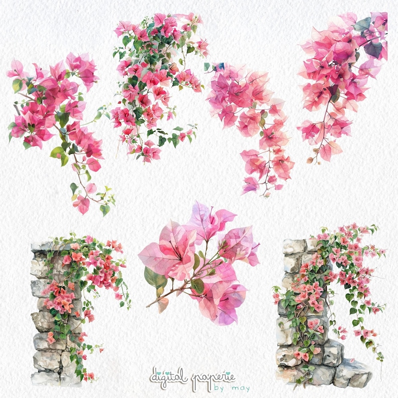 Watercolor Bougainvillea Graphics Scrapbooking & Wedding Essentials Vol ...