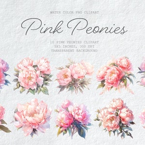 Pink Peonies Watercolor Clip Art - Etsy