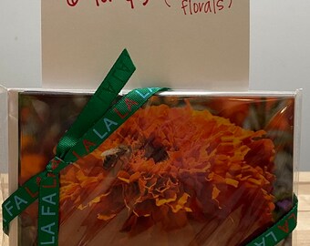 Single Panel Cards | Etsy