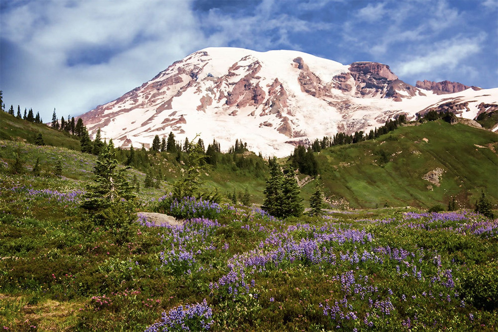 Mount Rainier, Landscape Photo, Nature Image, Wild Flower Image - Etsy