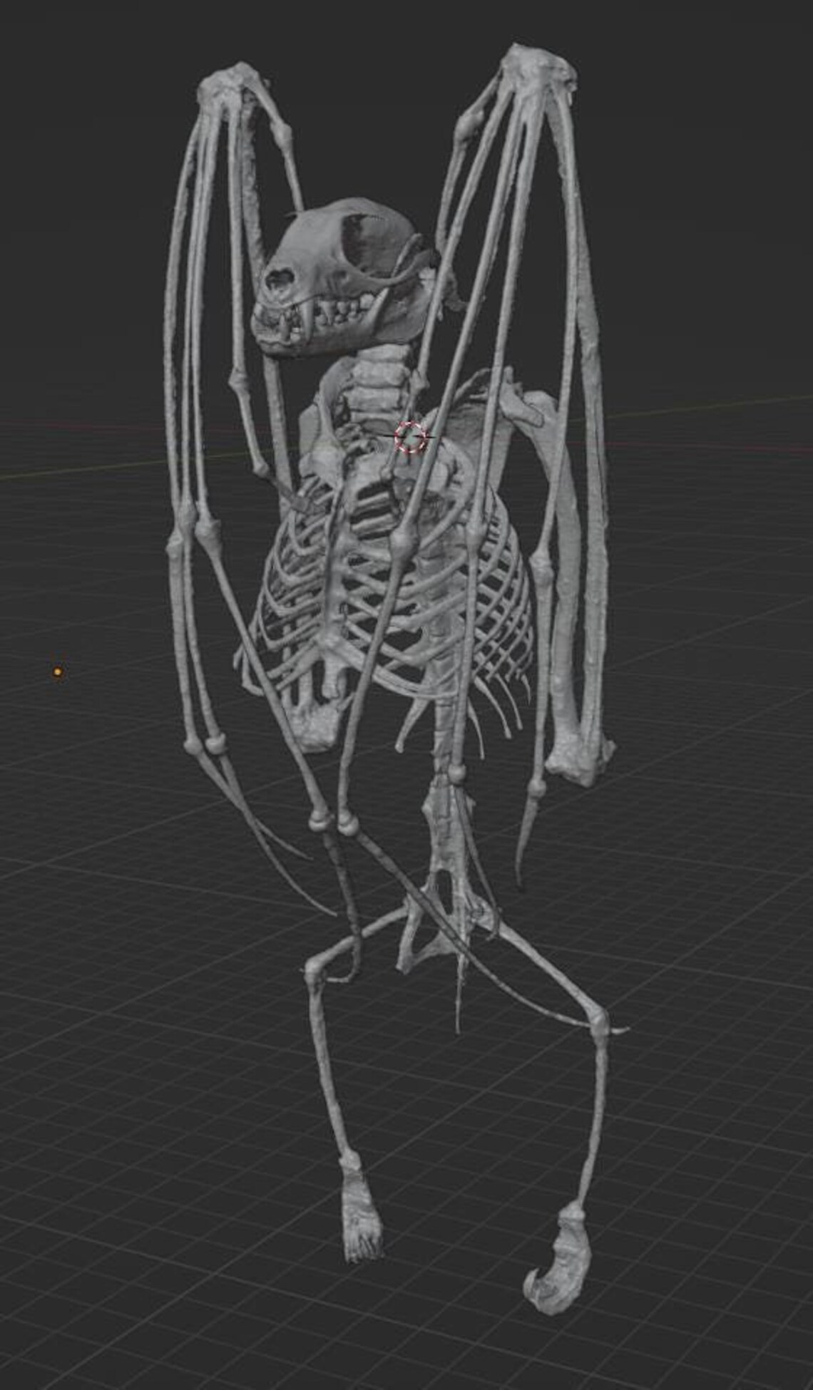 Fruit Bat Full Skeleton Commercial Printable STL - Etsy