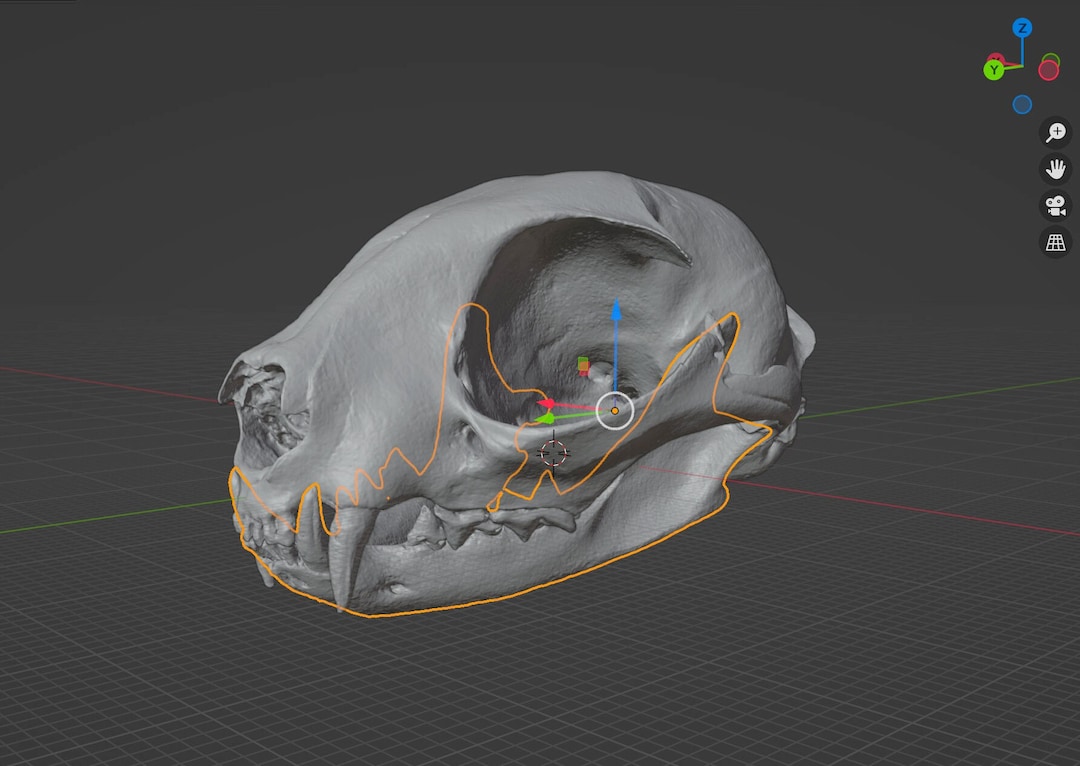 Cat Skull Commercial Printable STL File 3D Printable - Etsy