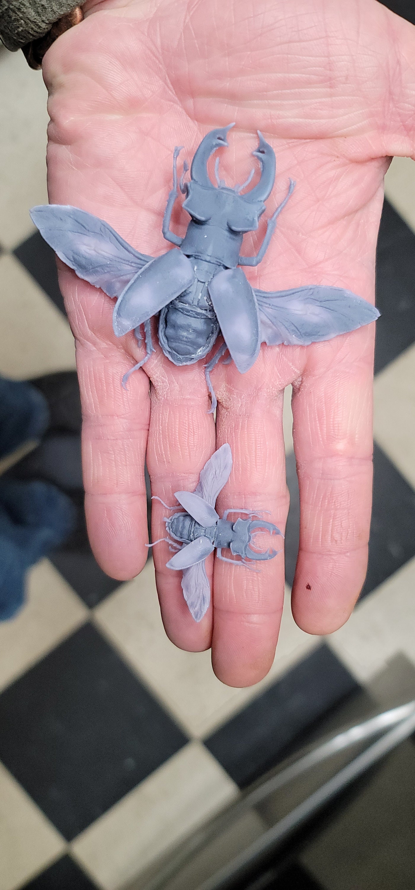 Stag Beetle Commercial License STL 3D Printable - Etsy