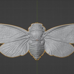Quesada Gigas Cicada Commercial License STL 3D Printable - Etsy