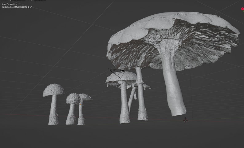 Mushroom Pack 1 Commercial Printable STL File 3D Printable - Etsy