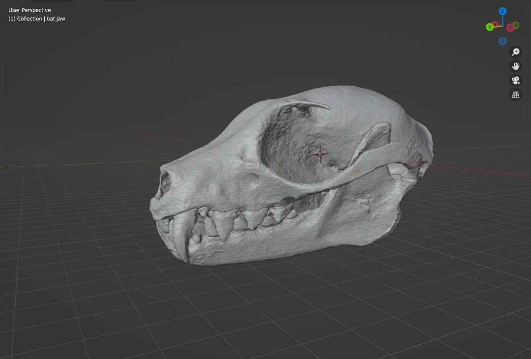Bat Skull Commercial Printable STL File 3D Printable - Etsy